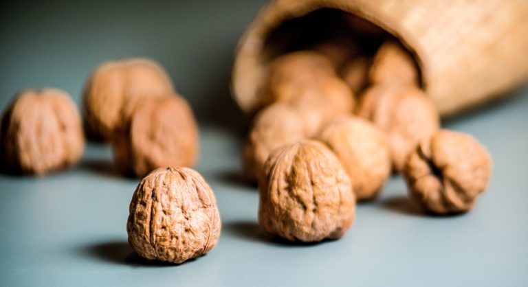 Origins and use of walnuts throughout history - Agricorti